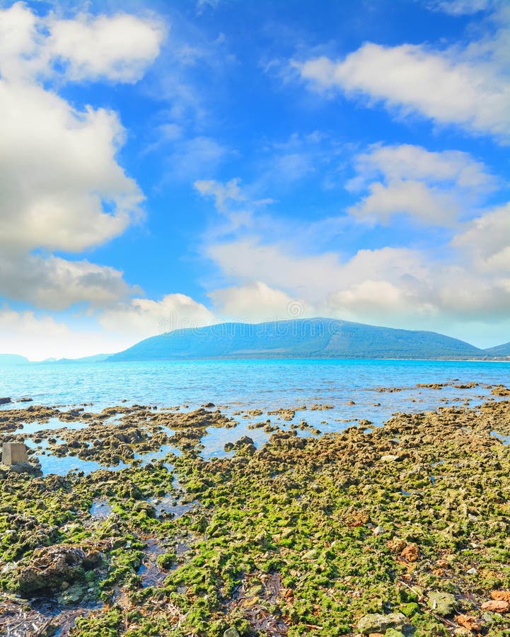 Seaweeds and Rocks by the Sea in Mugoni Beach Stock Image - Image of ...