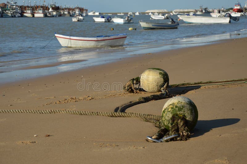 Seaworthy boats stock image. Image of xblue, wildlife - 67058373