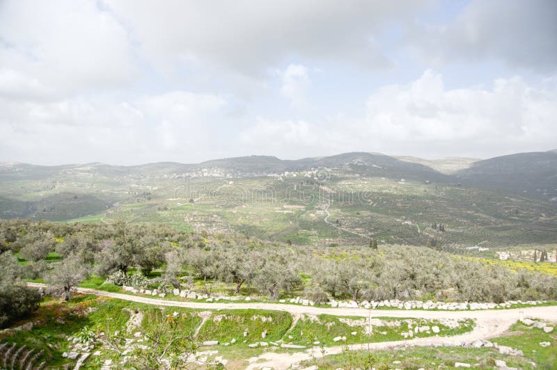 Sebastia Archeology Ancient Ruins Stock Photo - Image of wall, ancient ...