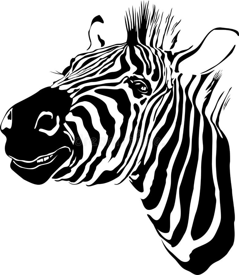 Sebra vektor illustrationer. Illustration av hingst - 117708127