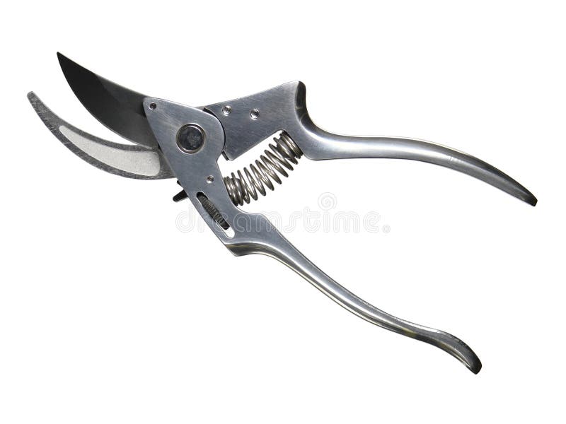 Secateurs stock photo. Image of cutting, cutter, shrub - 14996838
