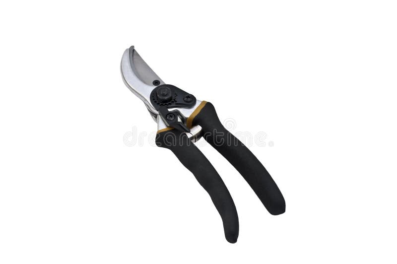 Secateurs stock image. Image of prune, secateurs, flower - 16728029