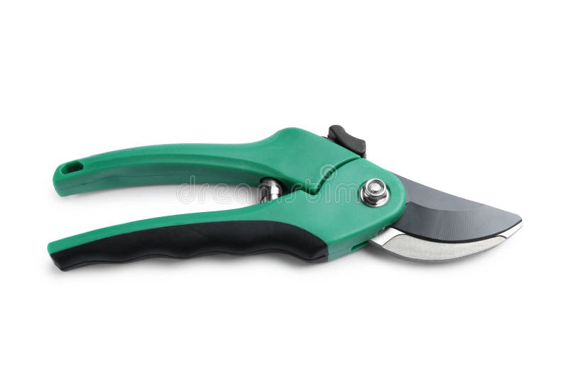 Secateurs with Green Handles Isolated on White. Gardening Tool Stock ...