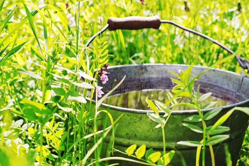 Secchio con acqua piovana immagine stock. Immagine di scolo - 95203795