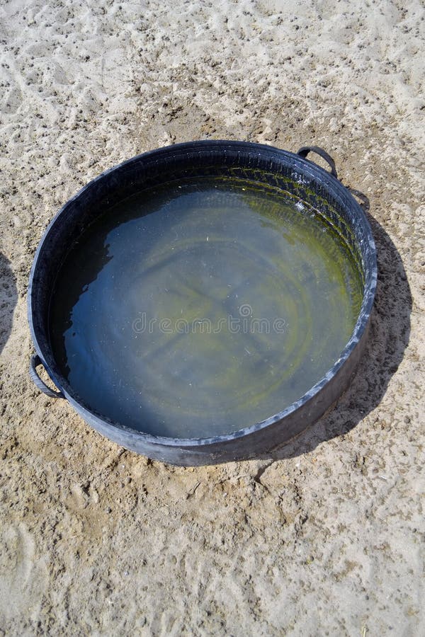 Secchio in pieno di acqua fotografia stock. Immagine di pieno - 21486674