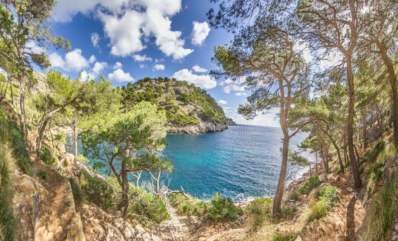 Secluded Bay on Mallorca Viewed from a Coastal Trail Stock Photo ...