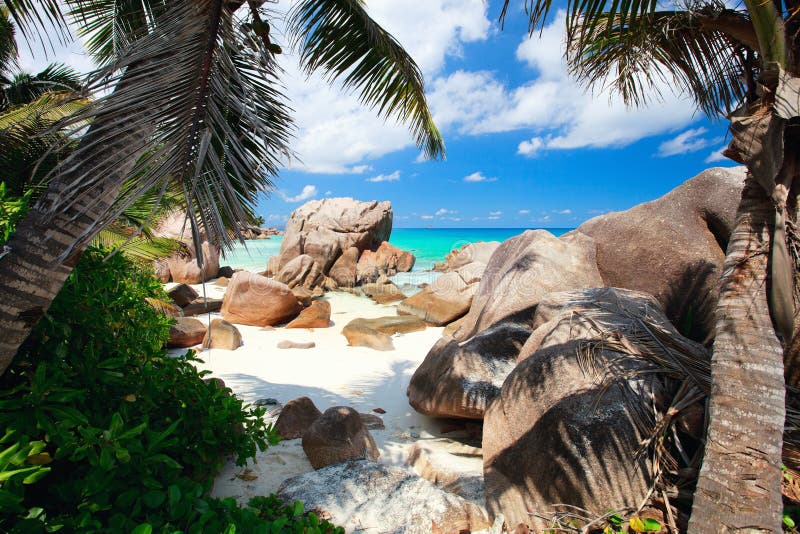 Secluded Beach in Seychelles Stock Photo - Image of horizon, lagoon ...