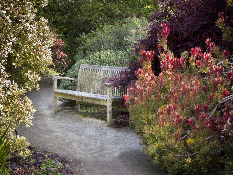 Secluded Bench 2 stock image. Image of park, tree, paving - 94422767