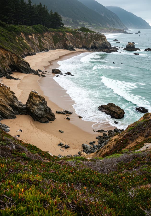Secluded Coastal Beach Landscape with Waves and Rocks Stock Photo ...