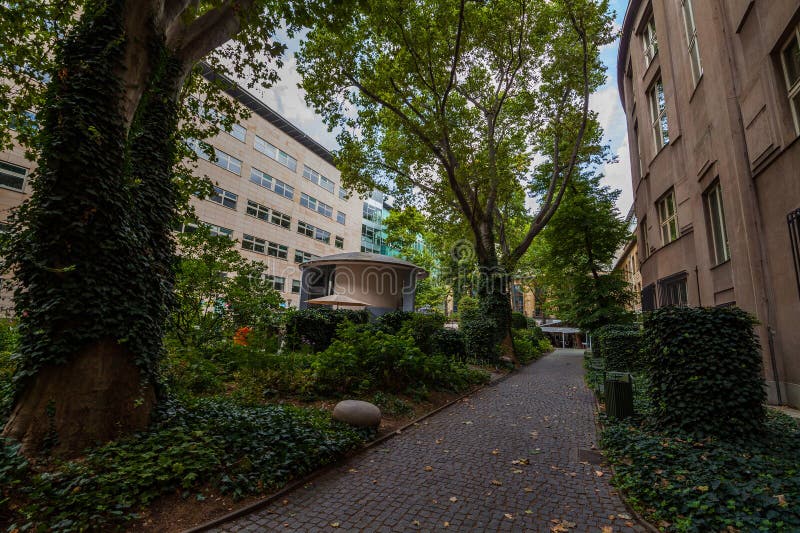 A Secluded Courtyard Garden Featuring a Stone Pathway, Lush Greenery ...