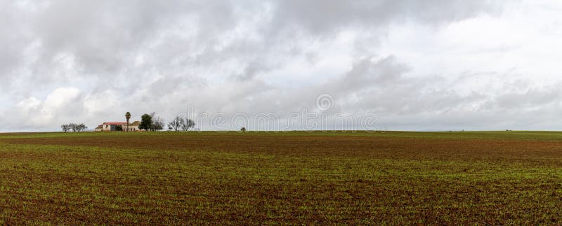 Endless Farm Fields with Green and Yellow Crops and Wind Farm Turbines ...