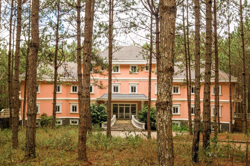 Secluded Mansion Amidst a Pine Forest an Architectural Gem in a ...