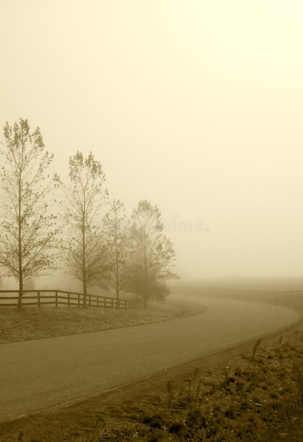 Secluded Road in Morning Haze. Stock Photo - Image of hazy, daylight ...