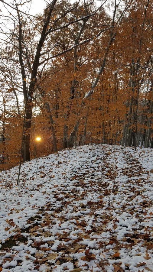 The natures path stock image. Image of simple, path - 137073885