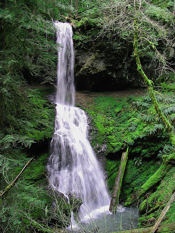 Secluded Waterfall stock photo. Image of cascading, nature - 53388352
