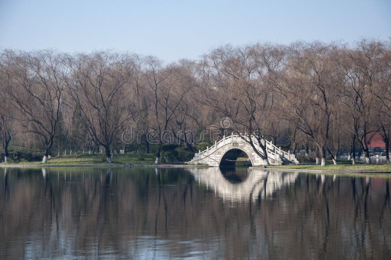 Seclusion stock photo. Image of environment, alone, road - 60460334
