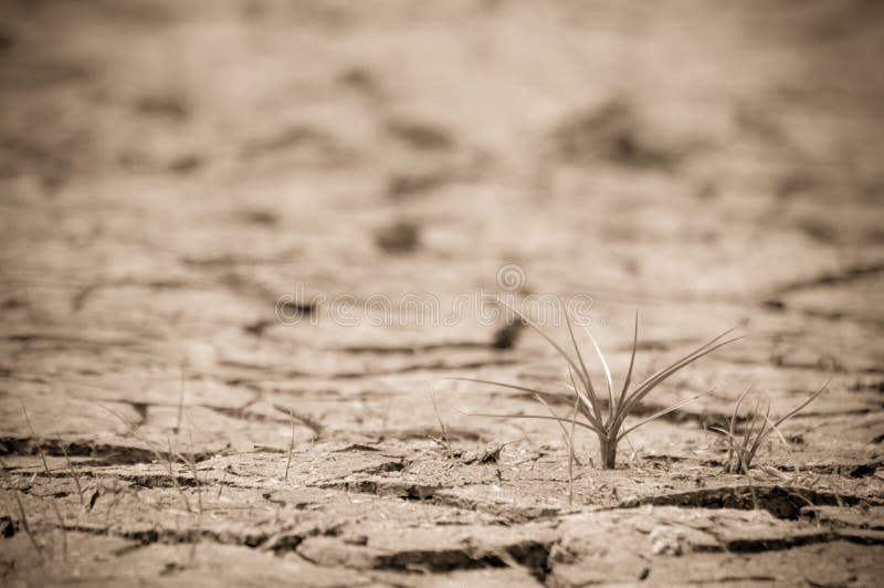 Seco foto de archivo. Imagen de fango, rural, estéril - 43100072