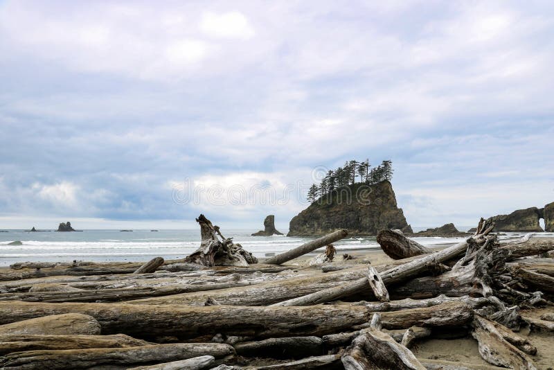 Second Beach in the Olympic National Park in the Morning, USA. Stock ...