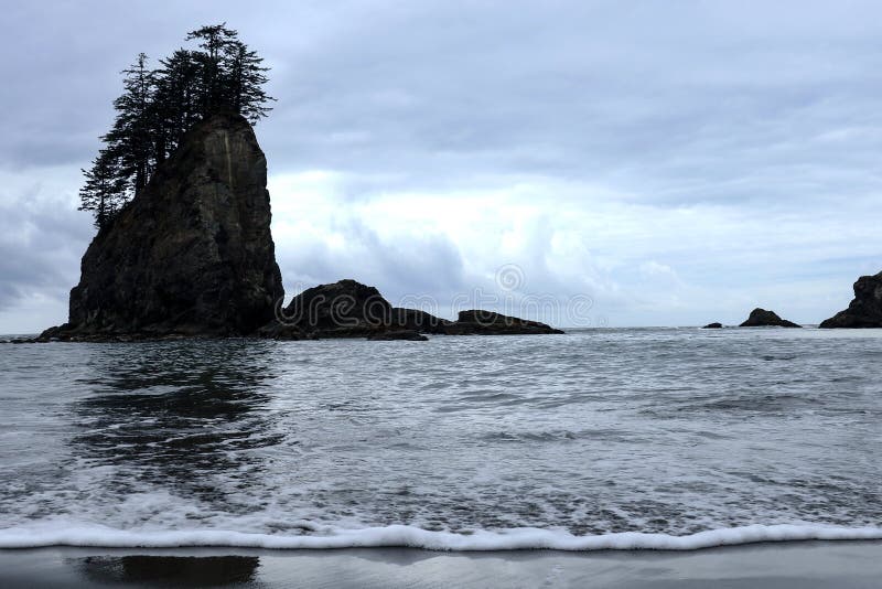 Second Beach in Olympic National Park, Washington, USA Stock Photo ...