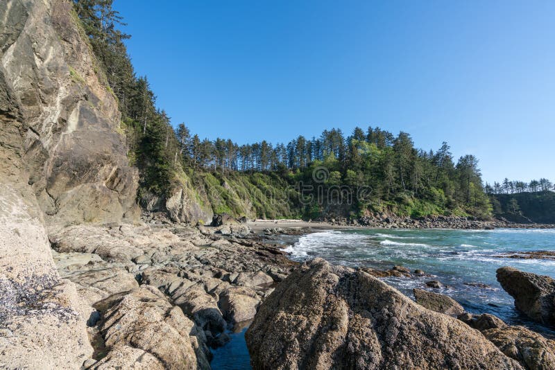 Second Beach stock image. Image of water, forest, river - 92148819
