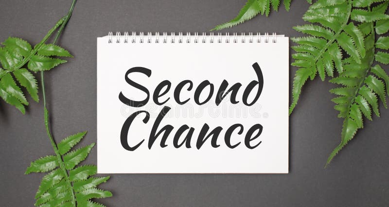 Second Chance Text with Real Leaves Tropical Jungle Background.flat Lay ...