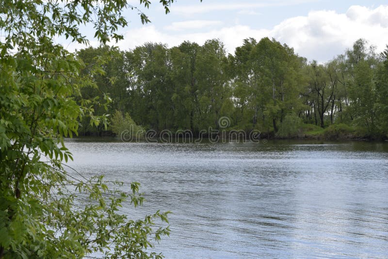 The Second Channel of the Ob River. Novosibirsk Stock Image - Image of ...