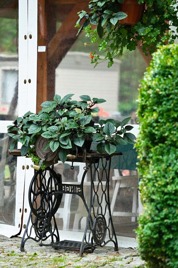 The Second Life of Old Sewing Machine Used As a Stand for Pots with ...