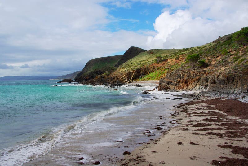 Second Valley Beach in Winter Stock Image - Image of australia, seaweed ...