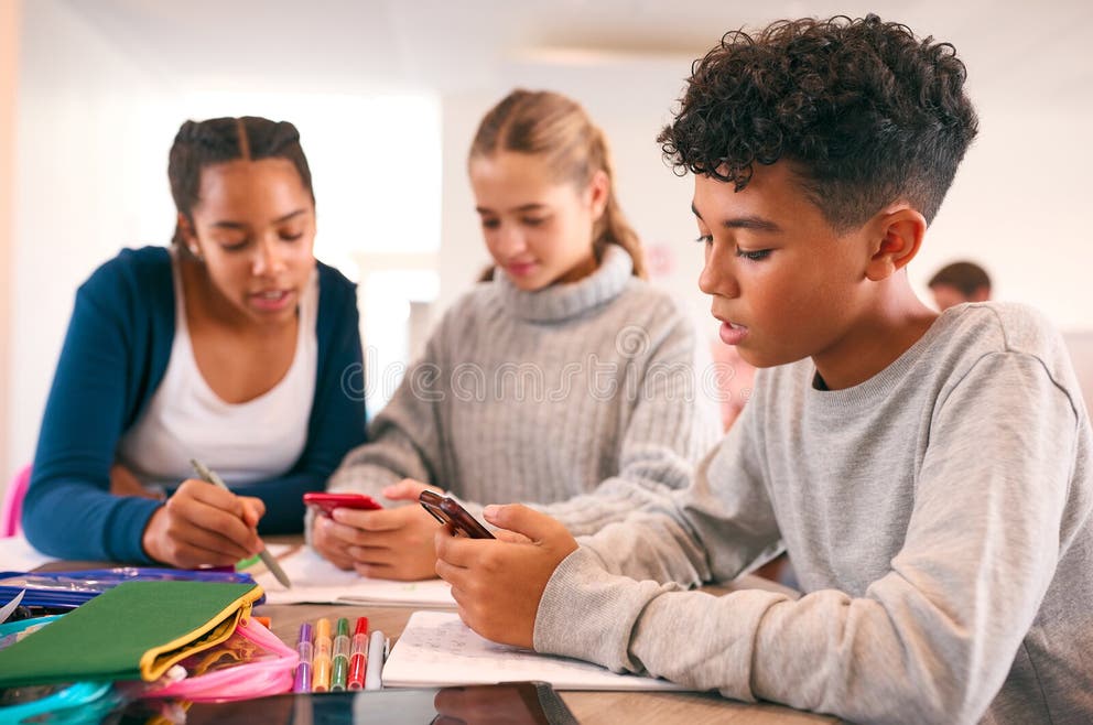 Secondary or High School Students in Study Area Working Together Using ...