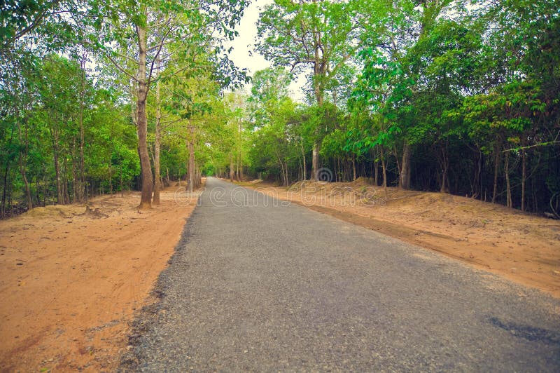 Secondary Road Path From Angkor`s Temple.Cambodia Picture. Image: 8516110