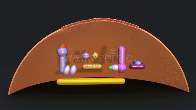 Secondo Sistema Del Messaggero Illustrazione di Stock - Illustrazione ...