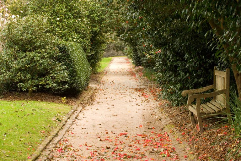 Secret alley stock photo. Image of dreaming, live, backyard - 2476916