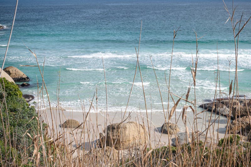 Secret Beach Behind the Reeds Stock Photo - Image of nature, coast ...