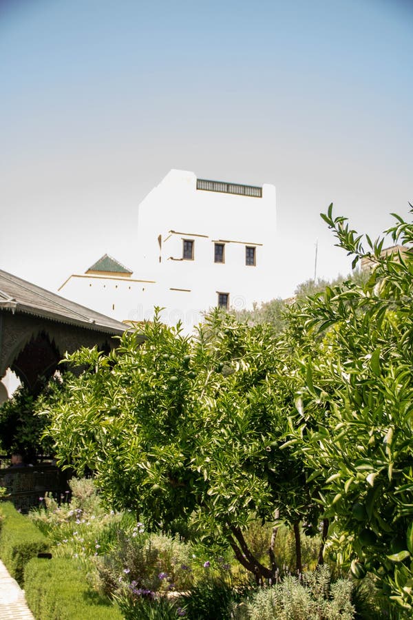 Secret Garden (Le Jardin Secret ) at Marrakech Stock Image - Image of ...