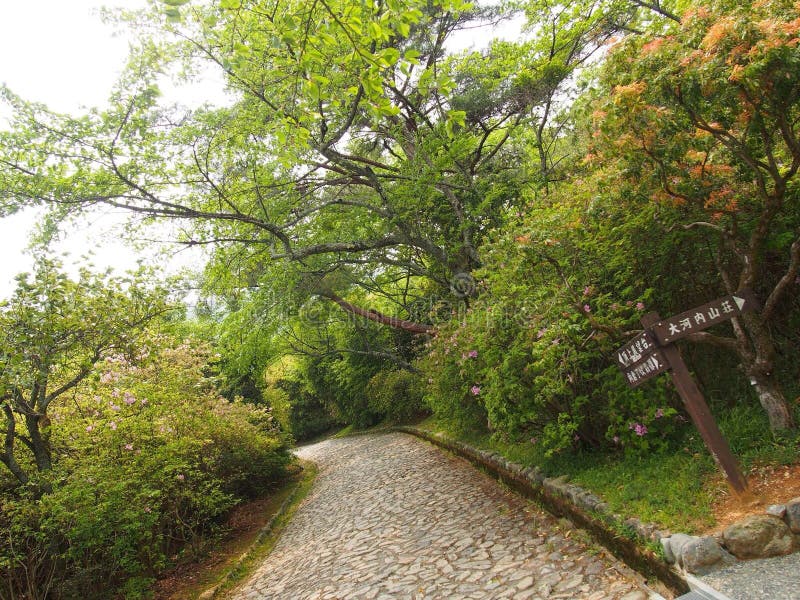 Secret garden stock image. Image of japan, park, scenery - 101092157
