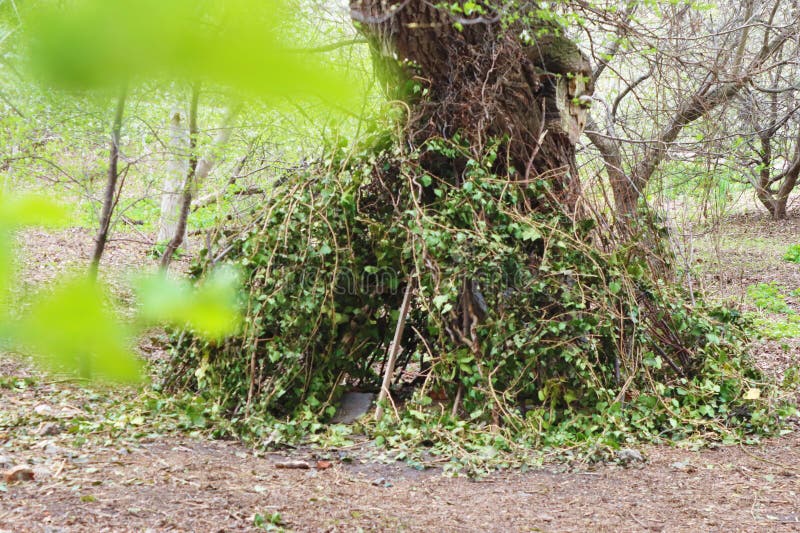 Small Cabin Cartoon Inflatable Tent Stock Photos - Free & Royalty-Free ...