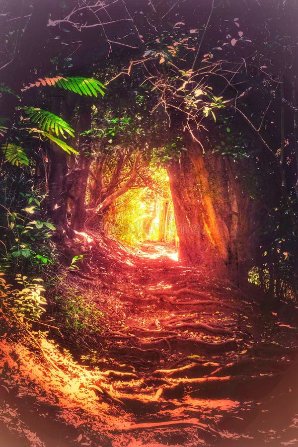 Secret Jungle Waterfall Cascade in Tropical Rainforest with Rock Stock ...