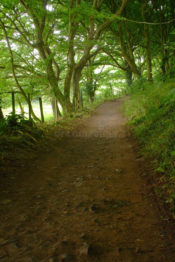 Secret Path to Mewslade stock image. Image of route, green - 21665615