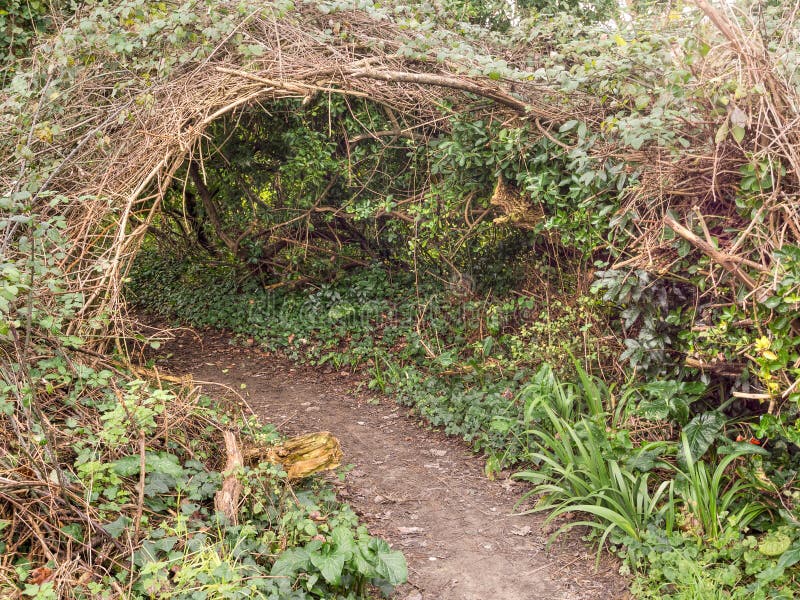 Secret Path, Tunnel through Undergrowth on Footpath. Brambles Et Stock ...