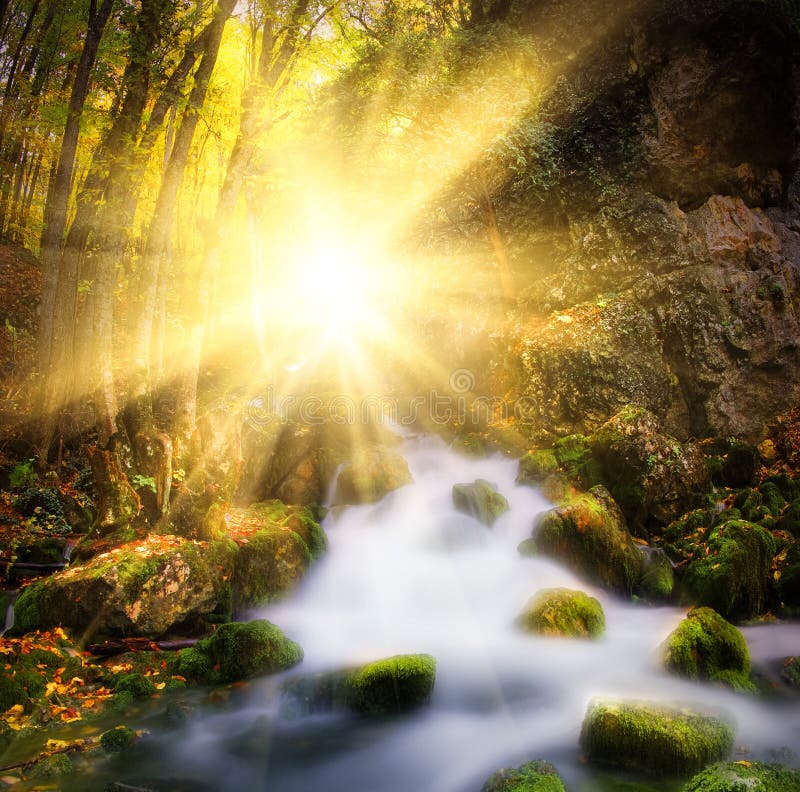 Secret river stock photo. Image of forest, sunbeams, moss - 41568664