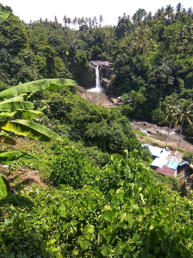 The Secret Waterfall stock photo. Image of nature, indonesia - 200240142