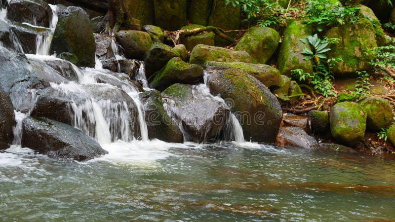 Secret Waterfall in a Jungle Stock Photo - Image of color, bright: 20617064