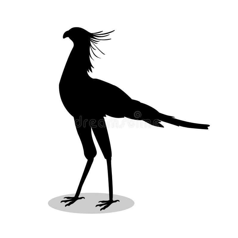 Secretary Bird Black Silhouette Animal Stock Vector - Illustration of ...