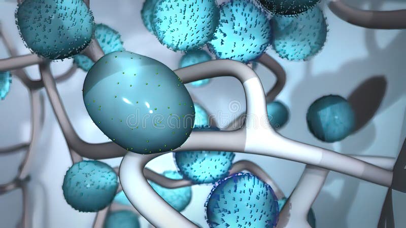 Secretion of Plasma Cells in the Lymph Node Stock Illustration ...