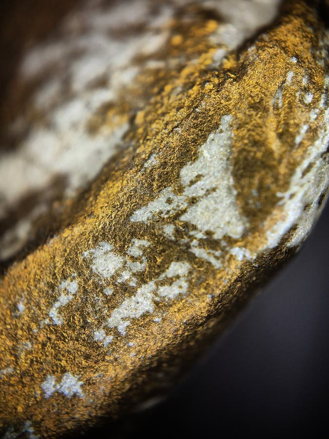 "Secrets of Ceramics: Macro Photography Under the Microscope" Stock ...