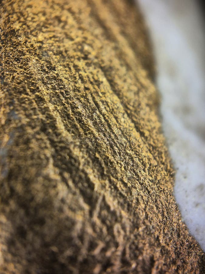 Secrets of Ceramics: Macro Photography Under the Microscope Stock Image ...