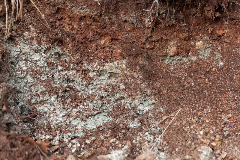 Section of a Carbonate Rich Soil Stock Photo - Image of geology ...