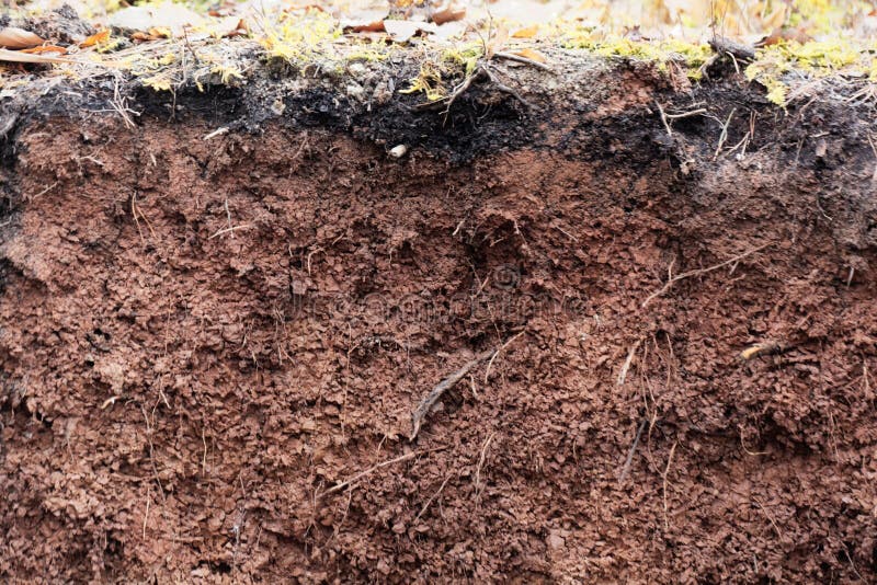 Cross-section Of Soil And Clay Layers Texture Stock Image - Image of ...