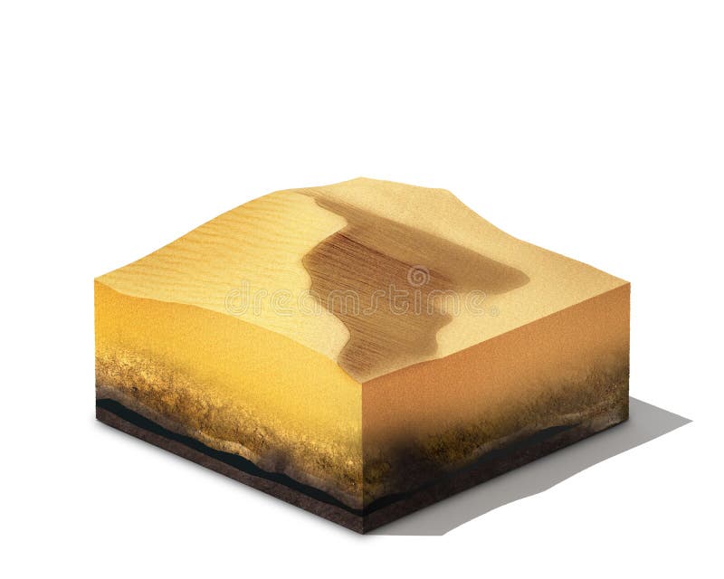 Desert Cross Section Stock Illustrations – 143 Desert Cross Section ...