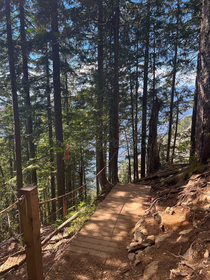 A Section of the Grouse Grind Trail, Showing a Shaded Path Winding ...
